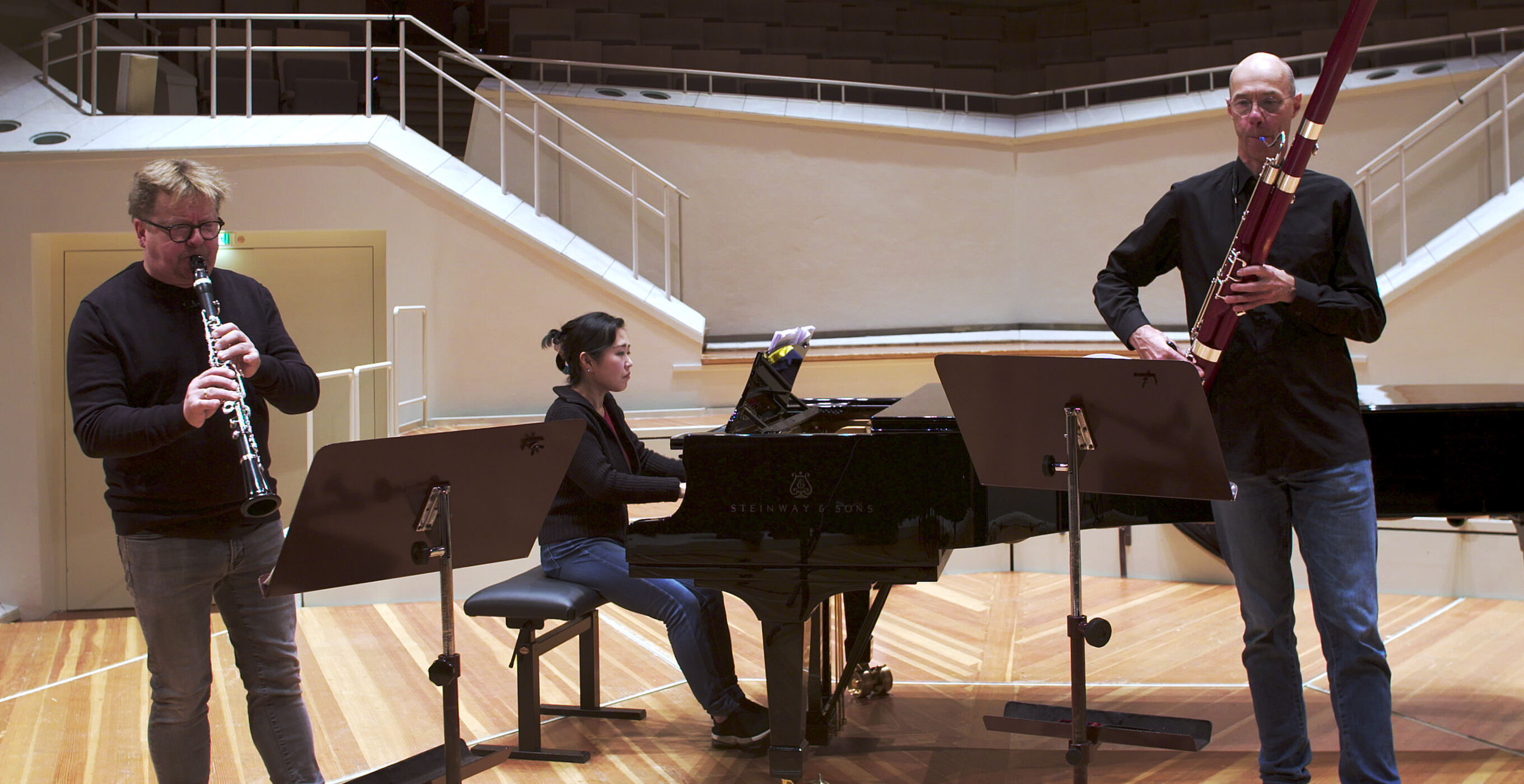 Wenzel Fuchs and Stefan Schweigert on Strauss’s Duet Concertino ...